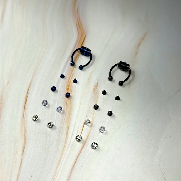 Jewelry | 2 Sets Magnetic Septum Nose Ring Horseshoe Fake Nose Ring ...